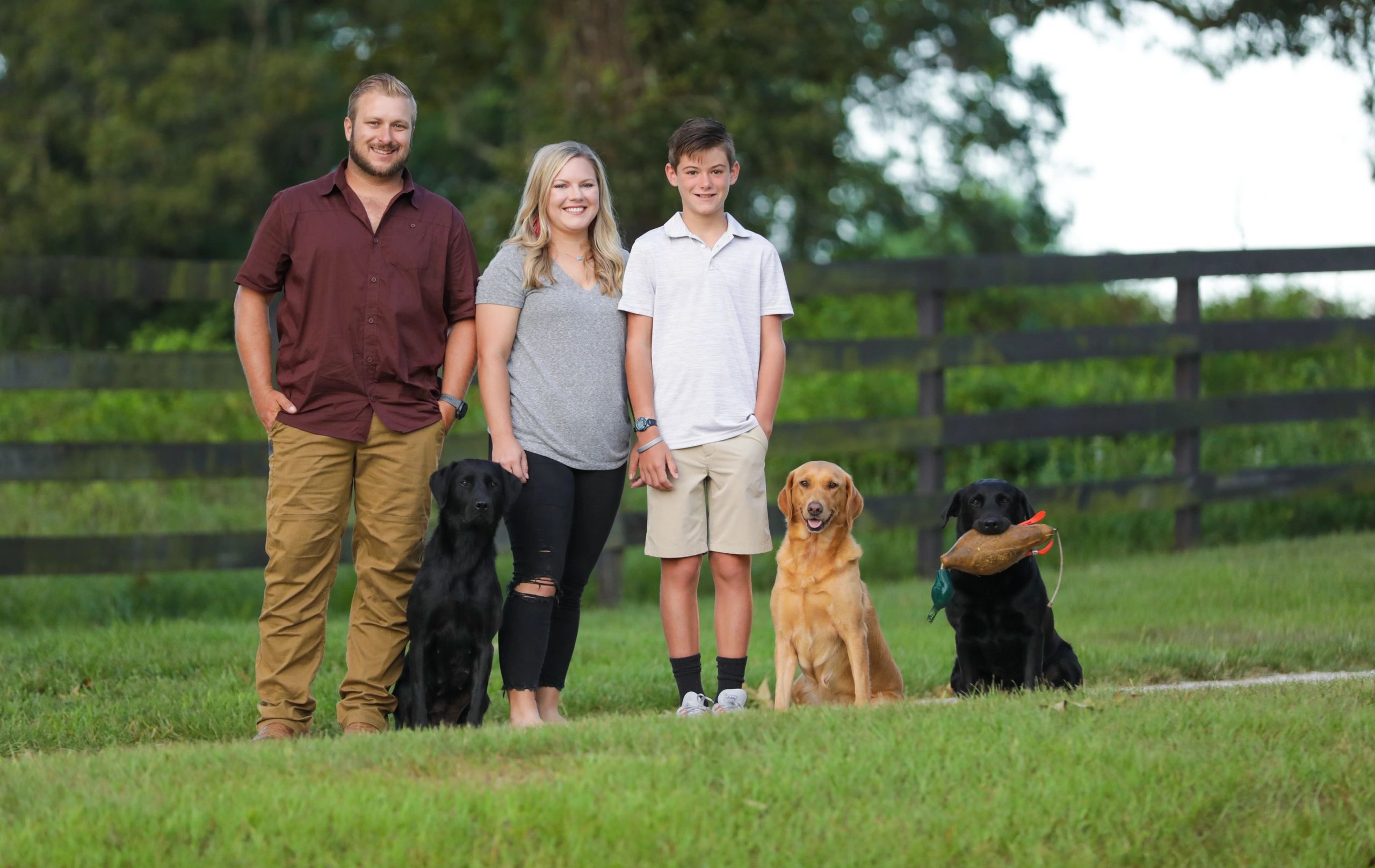 Blazing Gun Dogs - Gun Dogs, Hunting Dogs, Dogs for Sale