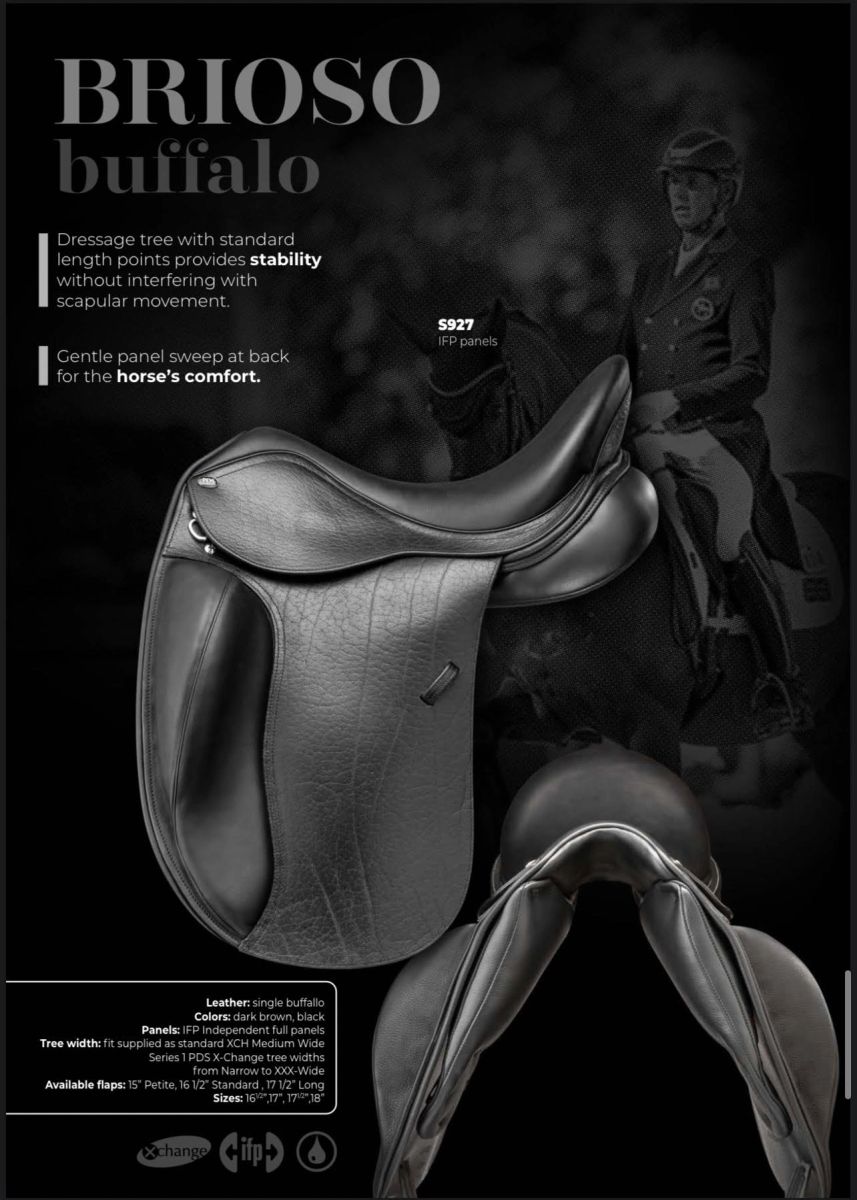 Carl Hester Collection Brioso Buffalo