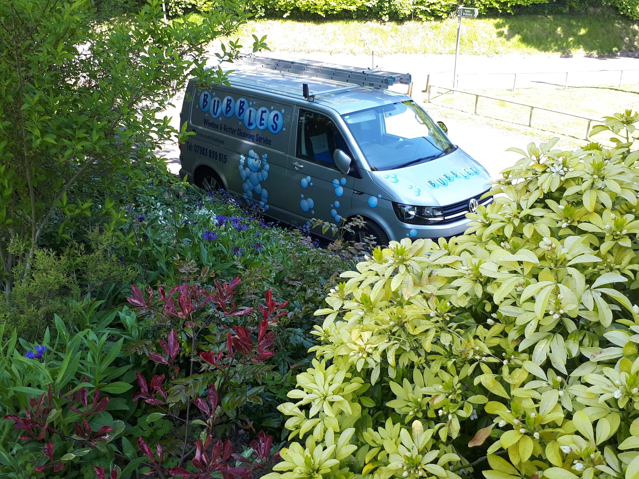 Bubbles Window & Gutter Cleaning Services