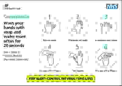 Bubbles Window & Gutter Cleaning Services