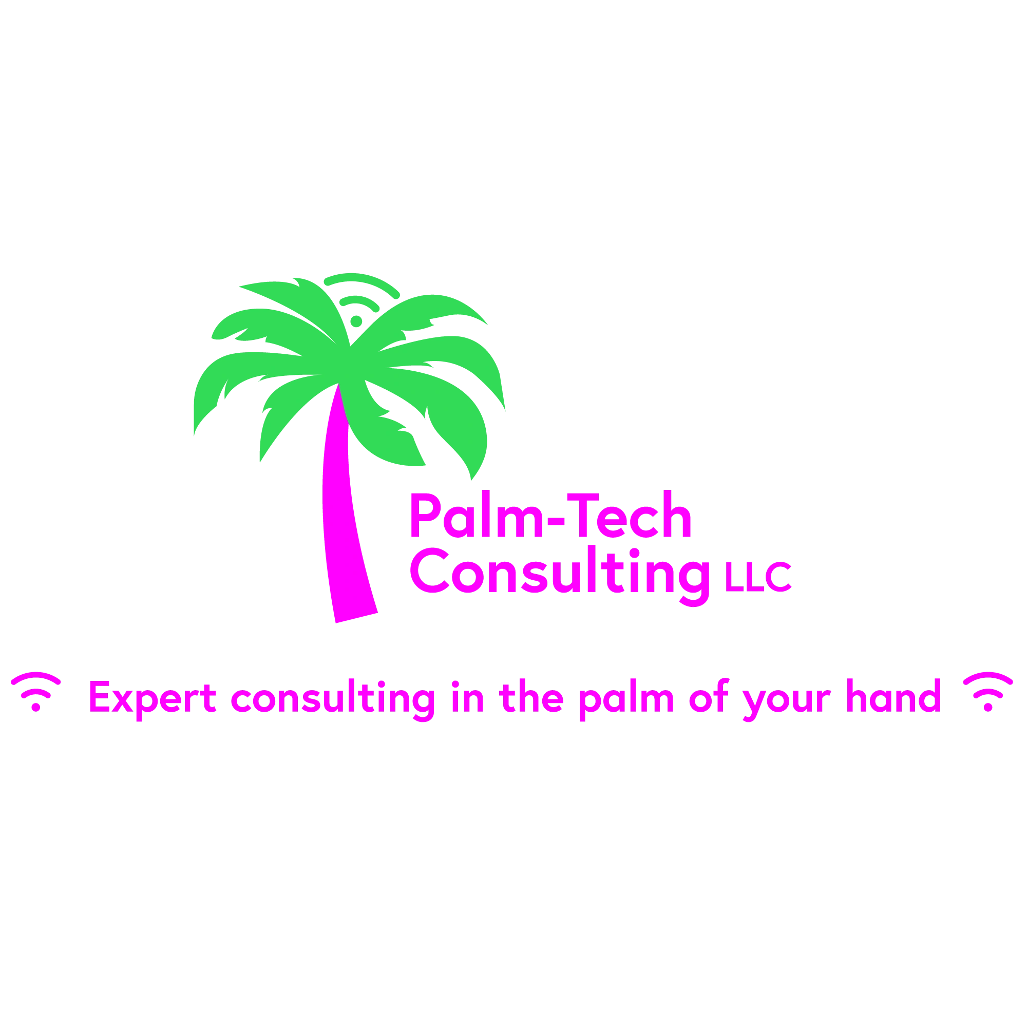 Palm-Tech Consulting, LLC