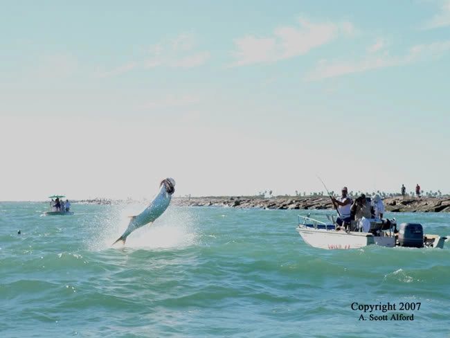 Project Tarpon Texas Tournament Series