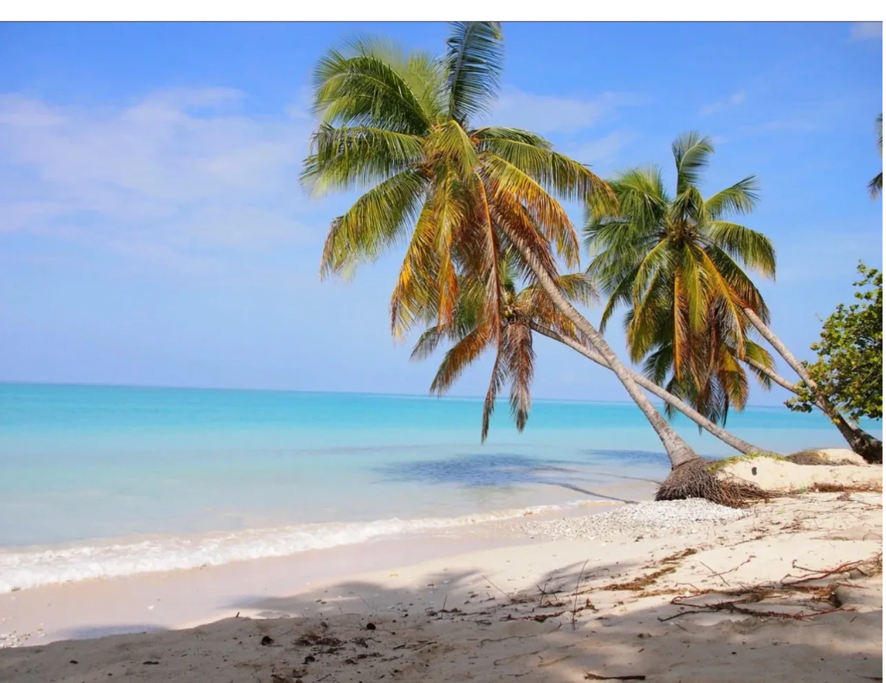 Family Tree | The Dupont and Family