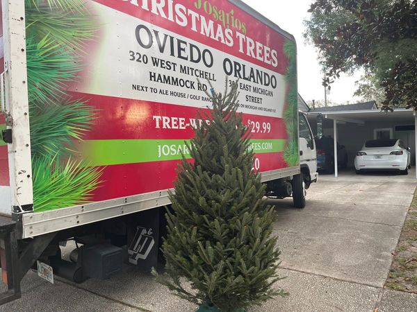 Christmas Tree Delivery Set Up Services In Orlando, Florida
