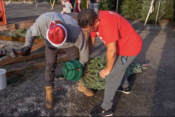 Christmas Tree Delivery Set Up Services In Orlando, Florida
