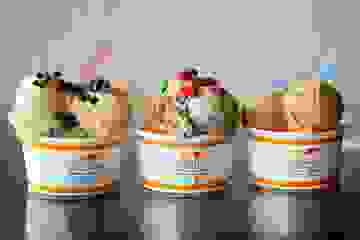 Cookie Dough in Knoxville - KNOX DOUGH