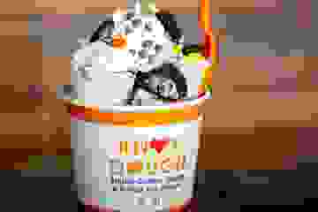 Cookie Dough in Knoxville - KNOX DOUGH