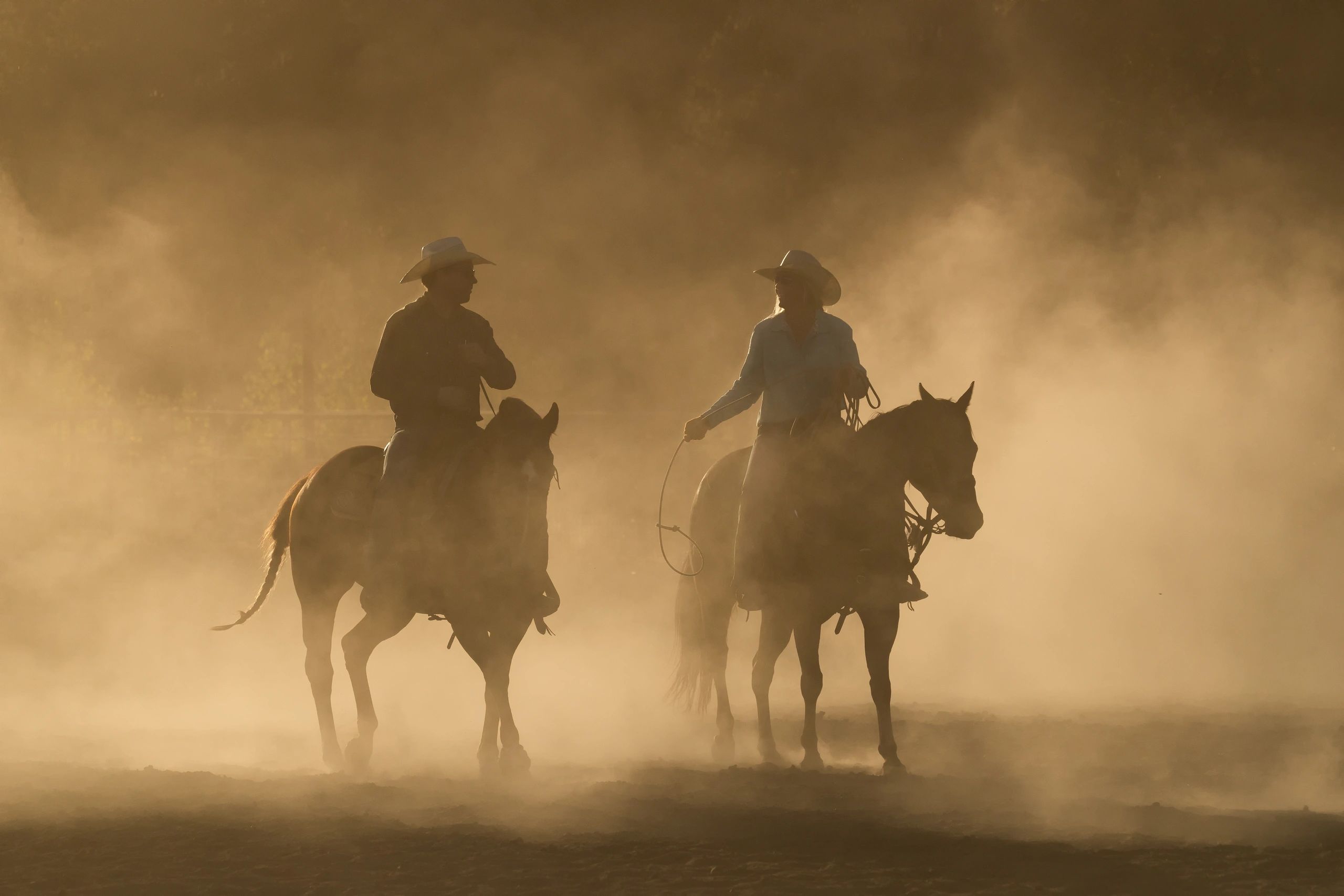 Cowboy and Equine Potraiture