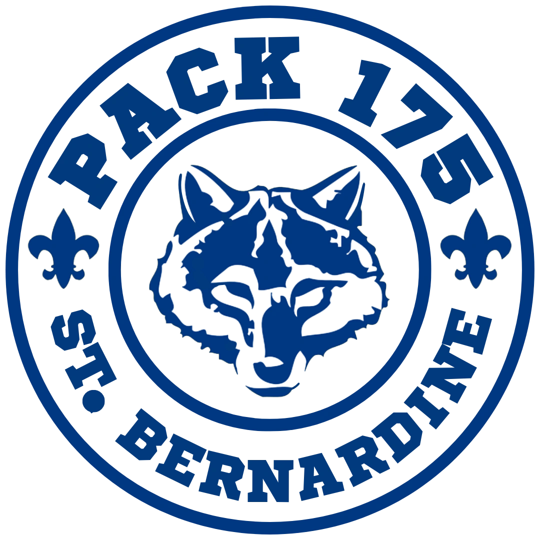 Cub Scouts Pack 175