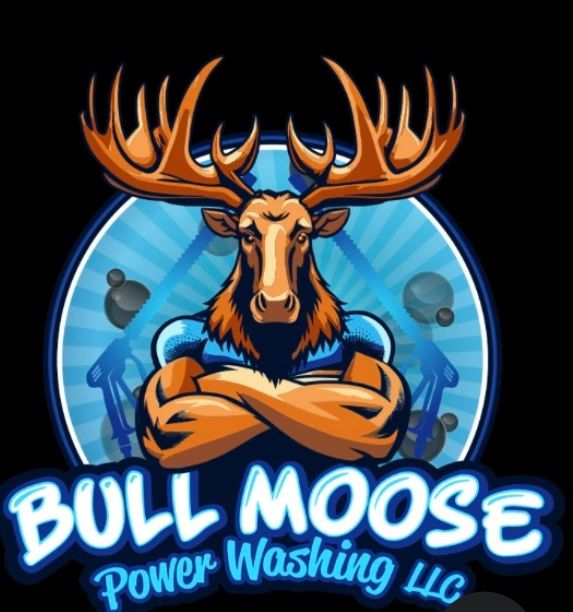 BULL MOOSE POWER WASHING