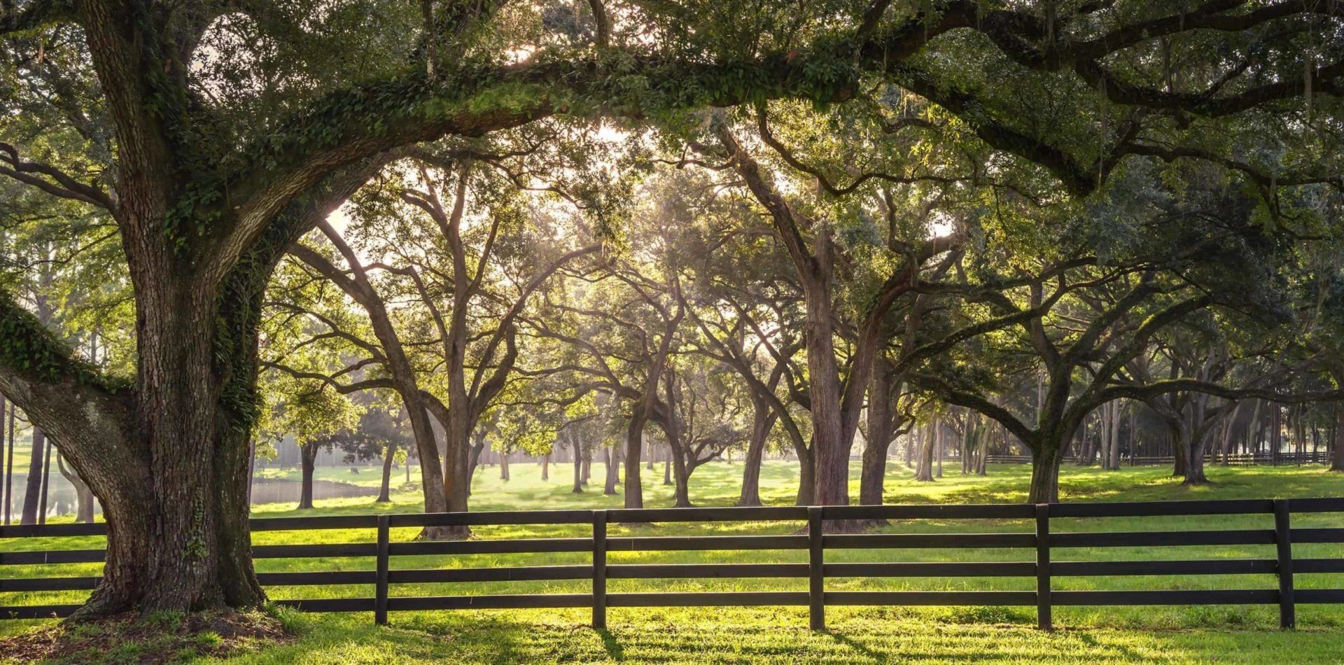 Southern Oak Insurance Group - Home