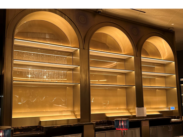 Professional Glass Services - Glass Guys LLC