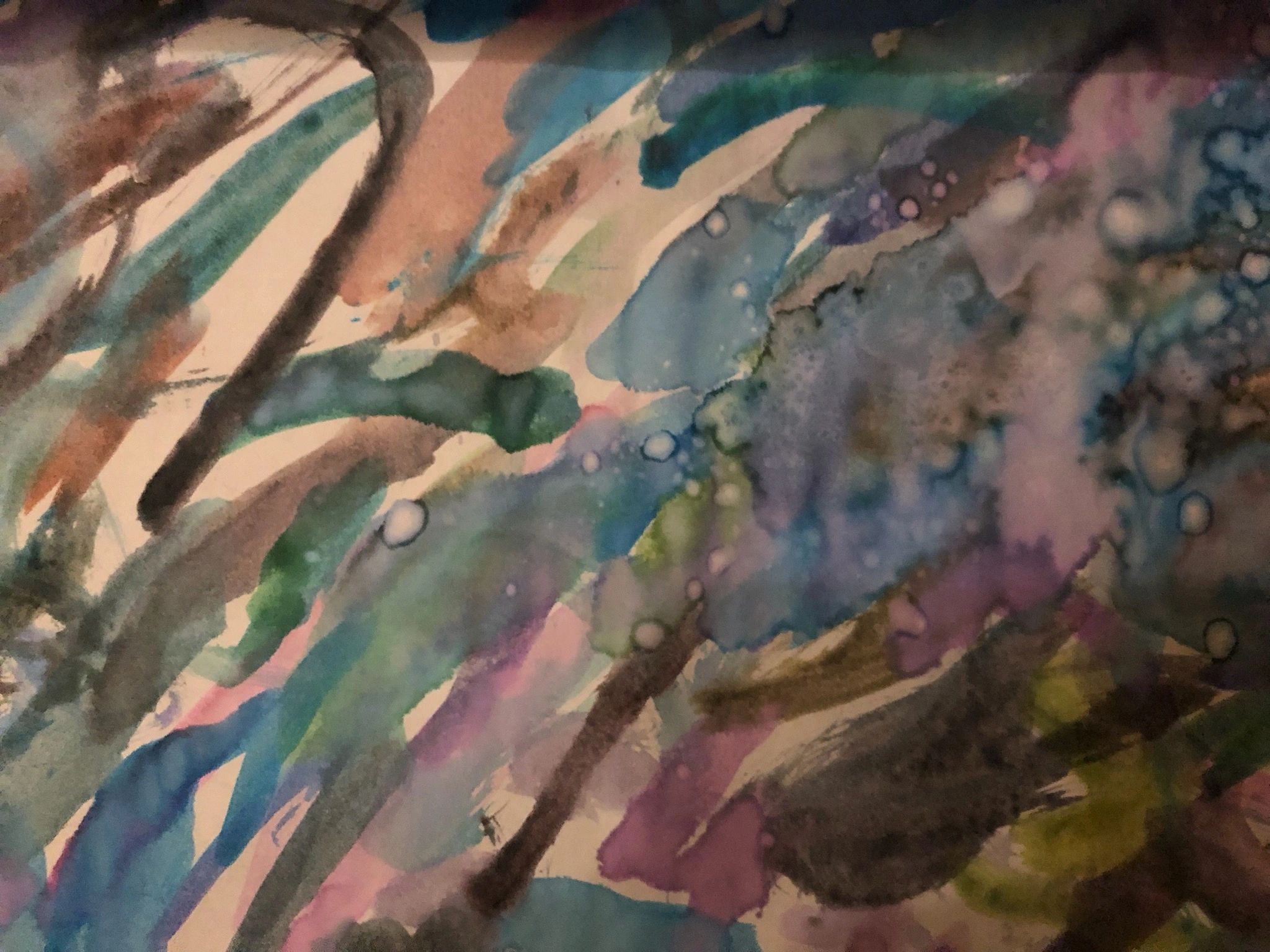 Seth David Halvorson