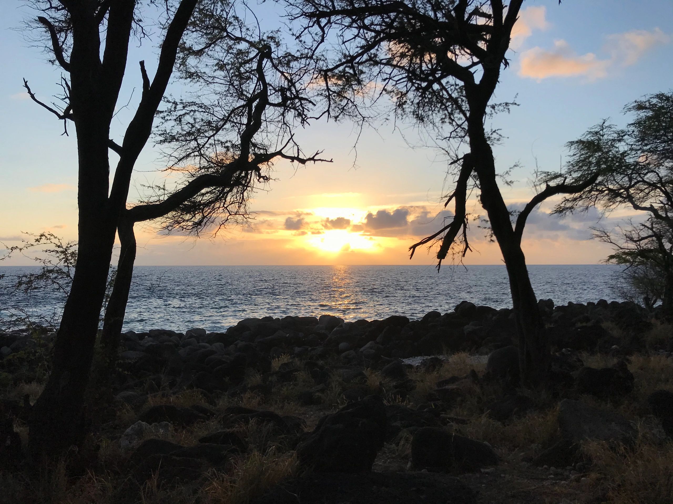 Top-notch food service for all occasions