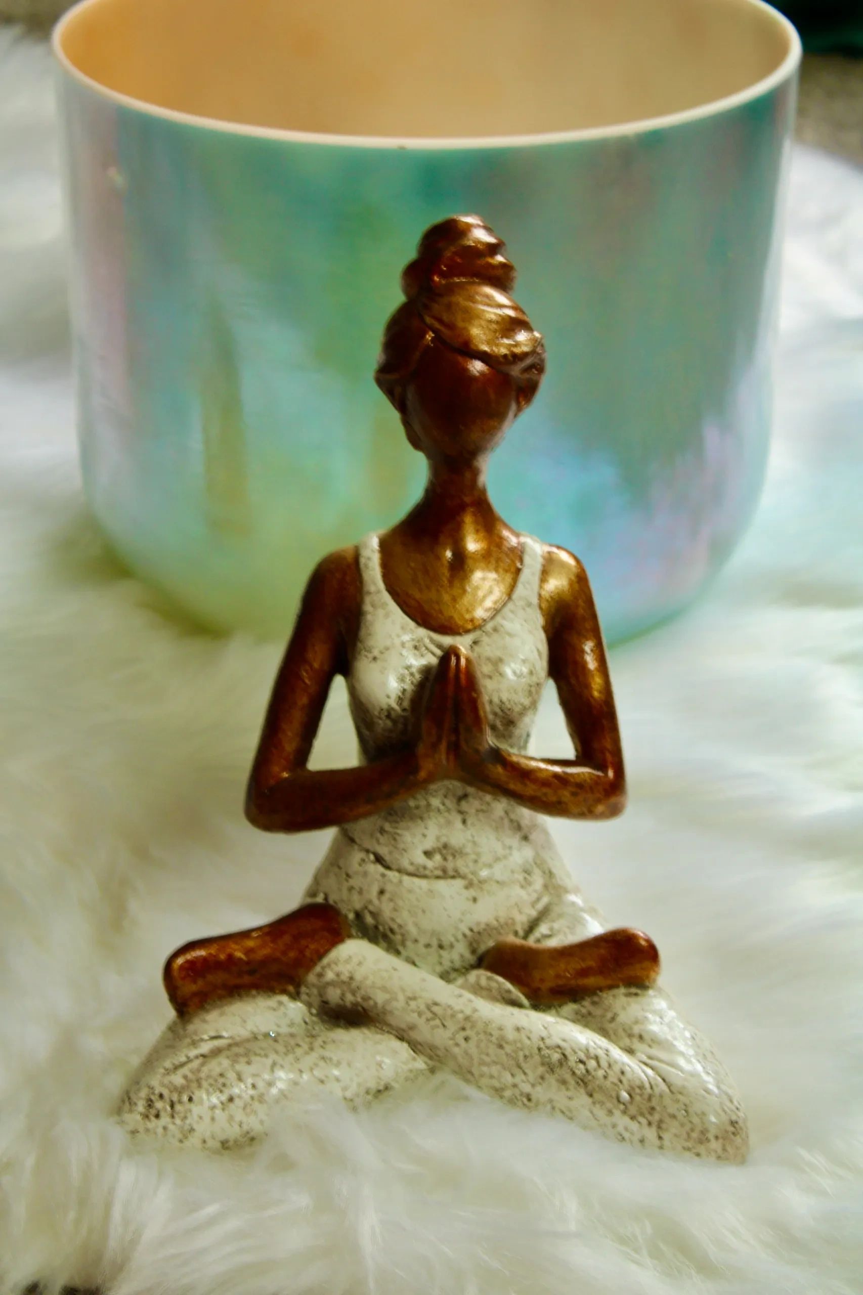 Soul Elevation Healing and Wellness