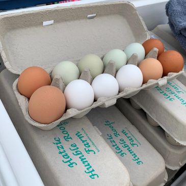 Mission City Farmers Market - Vegetables, Farmers Market