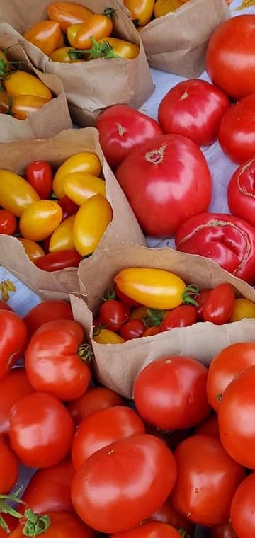 Mission City Farmers Market