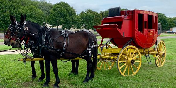 Carriage Rides - Wild Heart Carriages