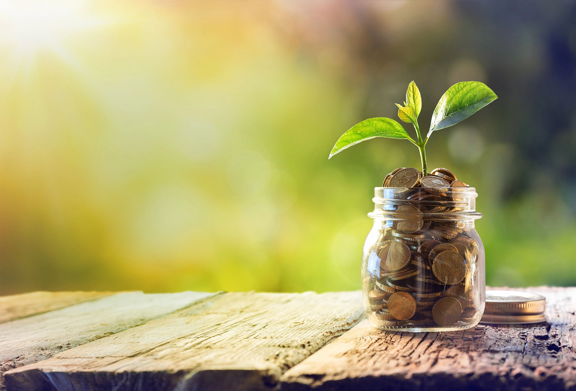 Personal Finance - Paving Your Way Forward