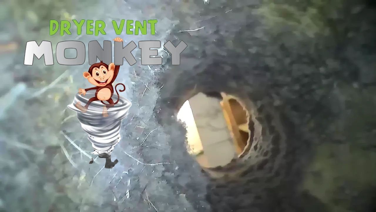 Dryer Vent Monkey