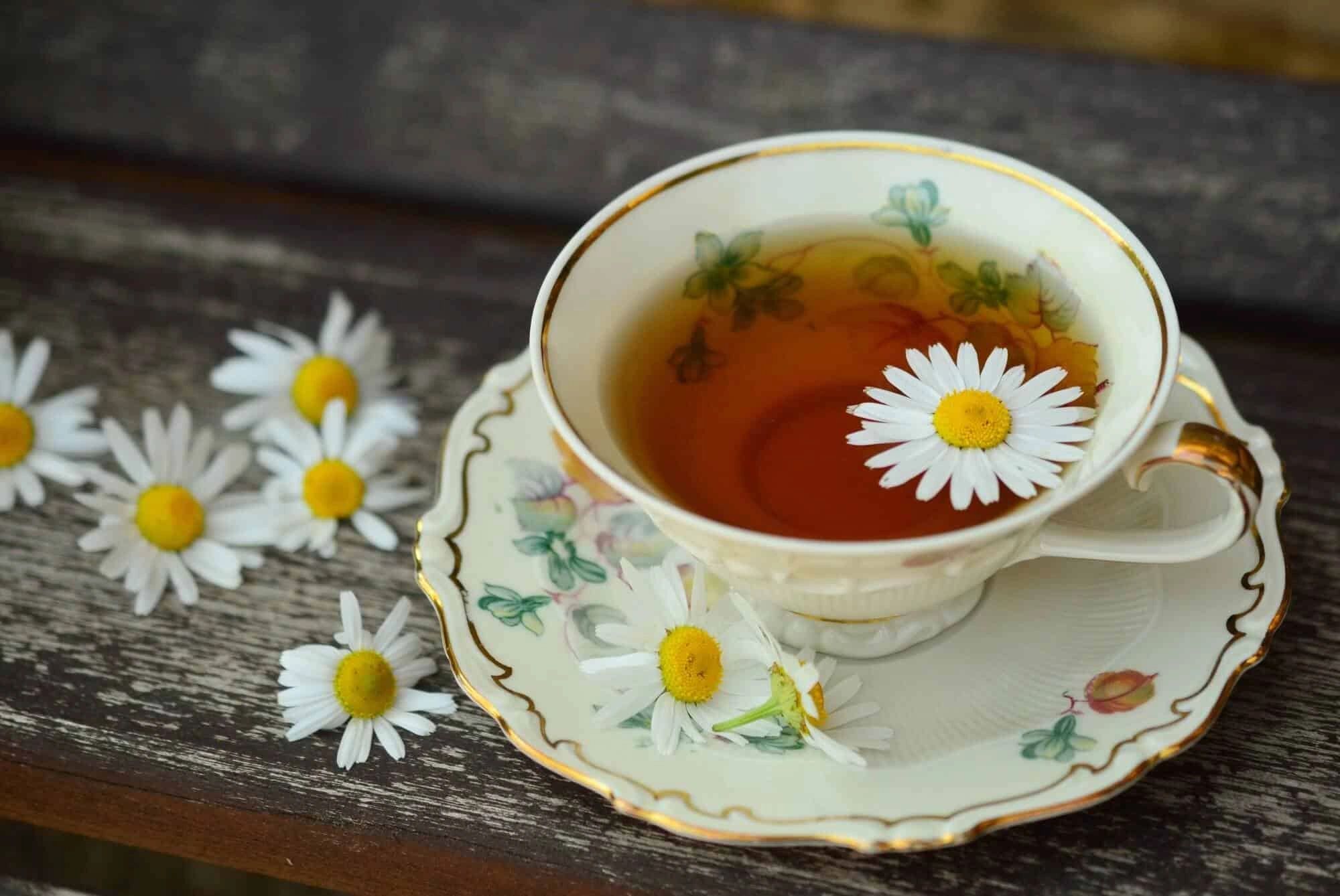 Five Reasons Why You should drink tea!