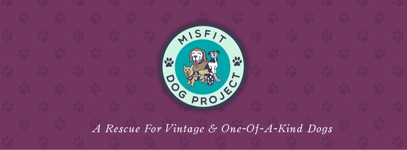 Misfit Dog Project