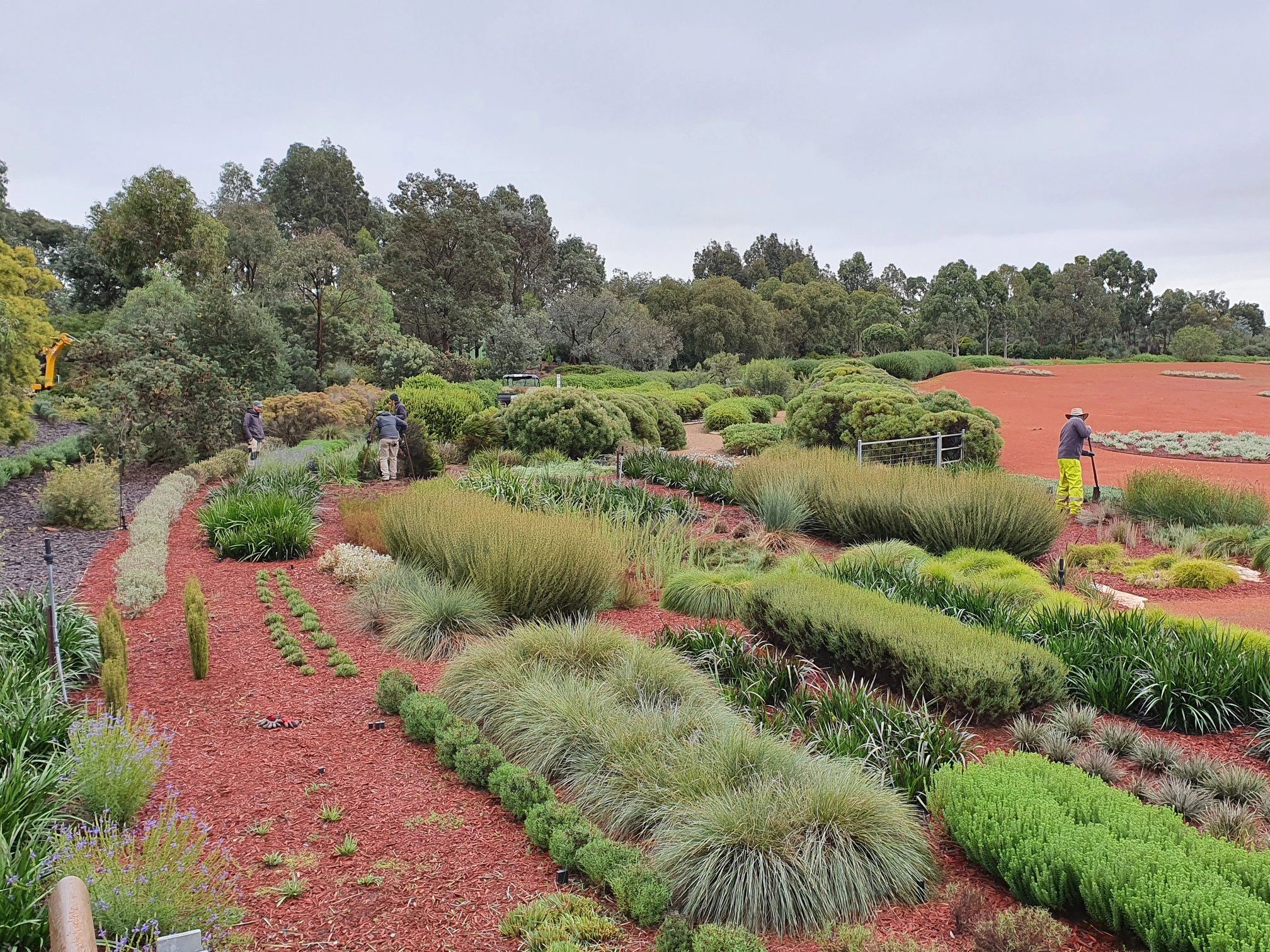Royal Botanic Gardens Victoria: Cranbourne Gardens