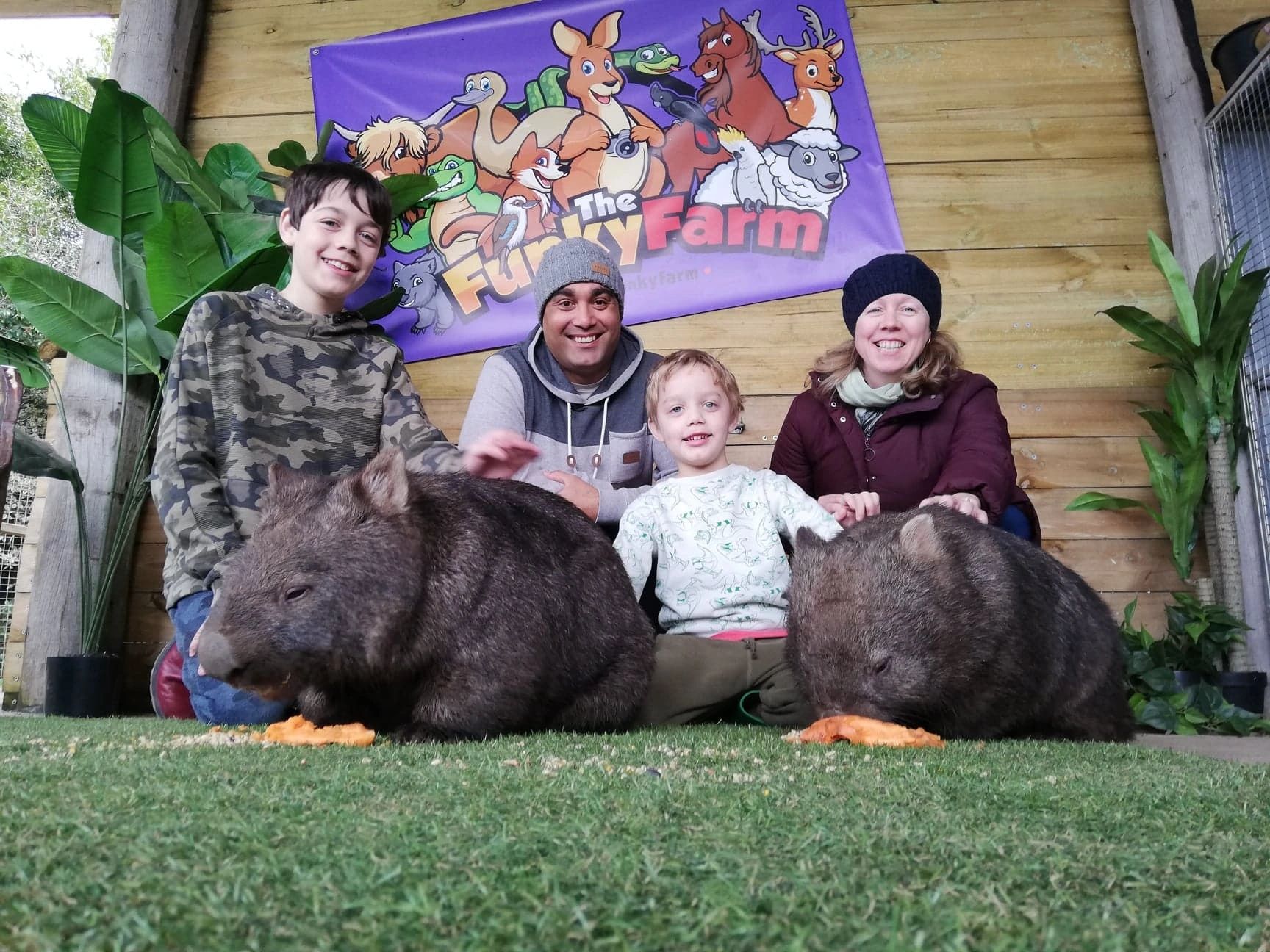 The Funky Farm in Hastings