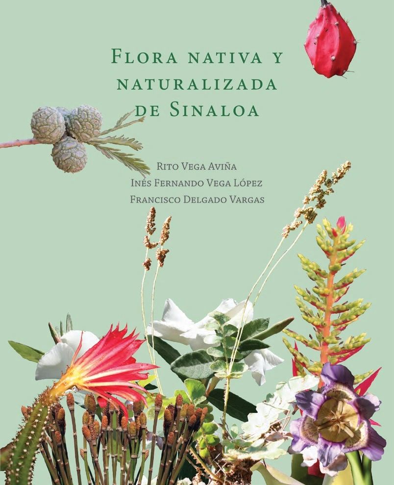 Flora nativa y naturalizada de sinaloa