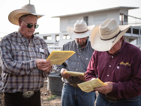 Beutler & Son Rodeo Co.