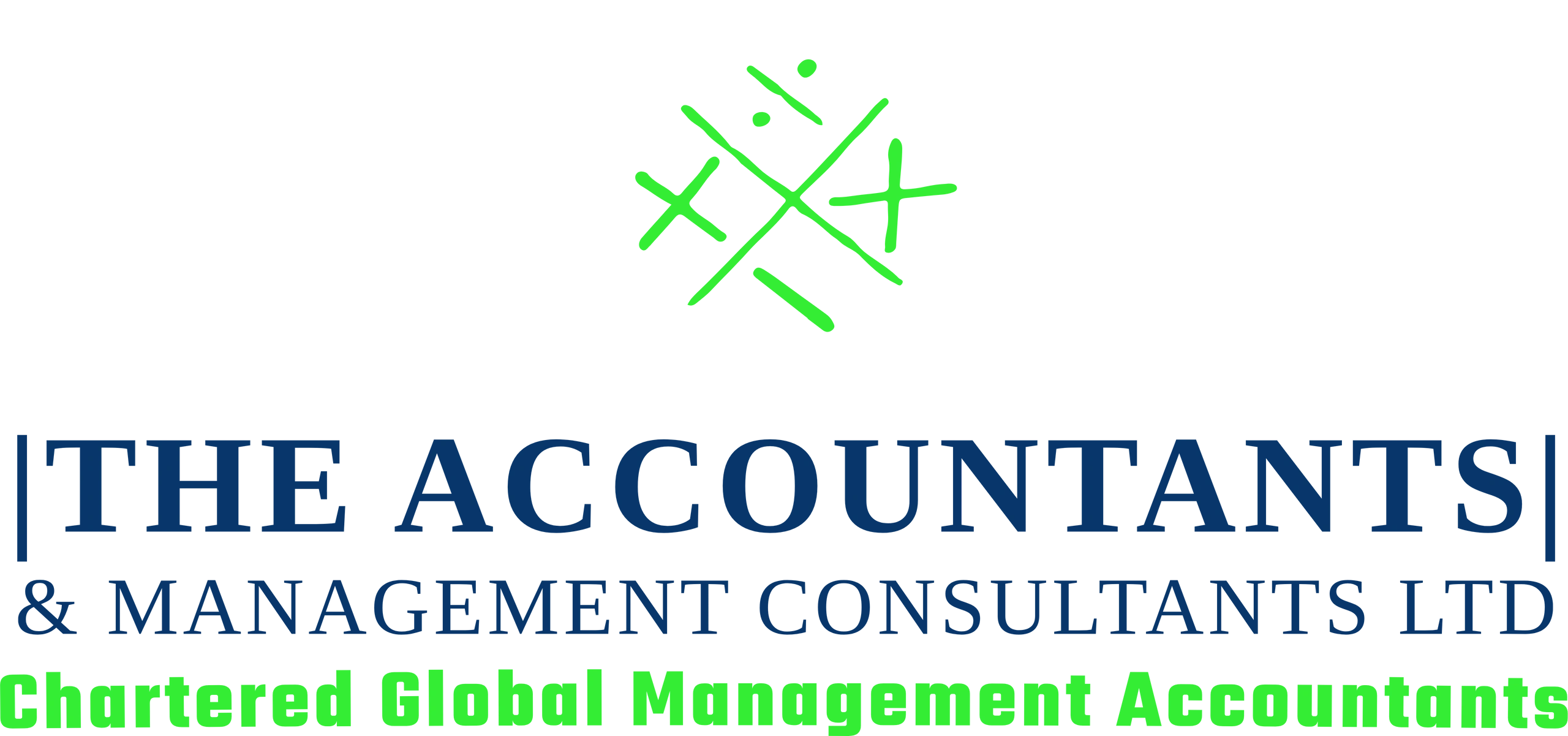 THE ACCOUNTANTS & MANAGEMENT CONSULTANTS LTD
