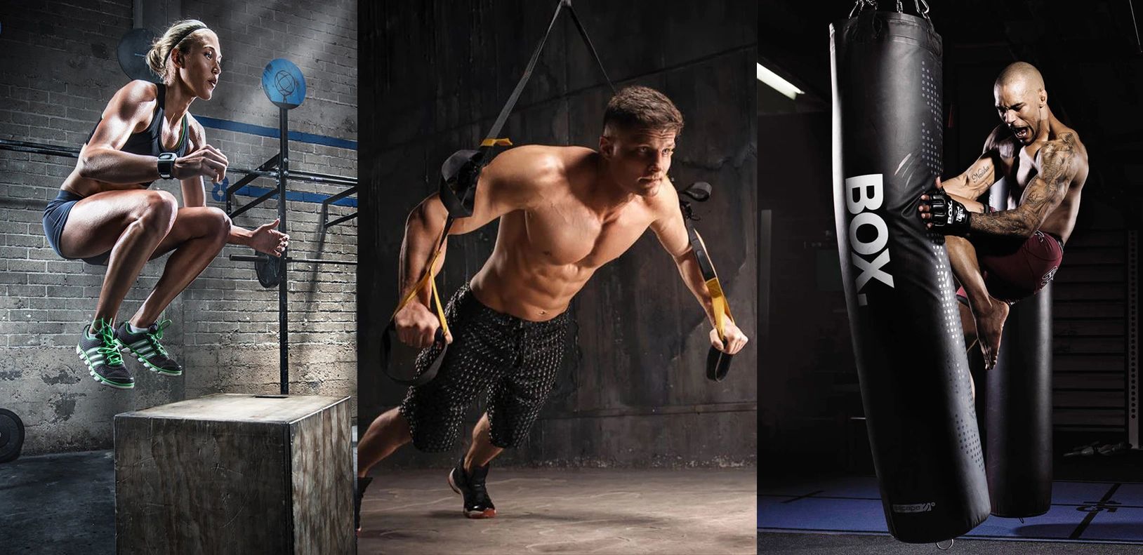 America's Next Top Trainer