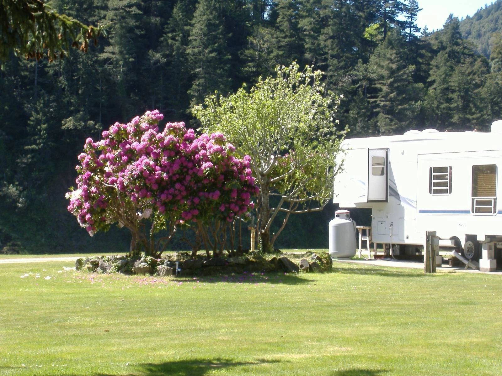 Lucky Lodge RV Park