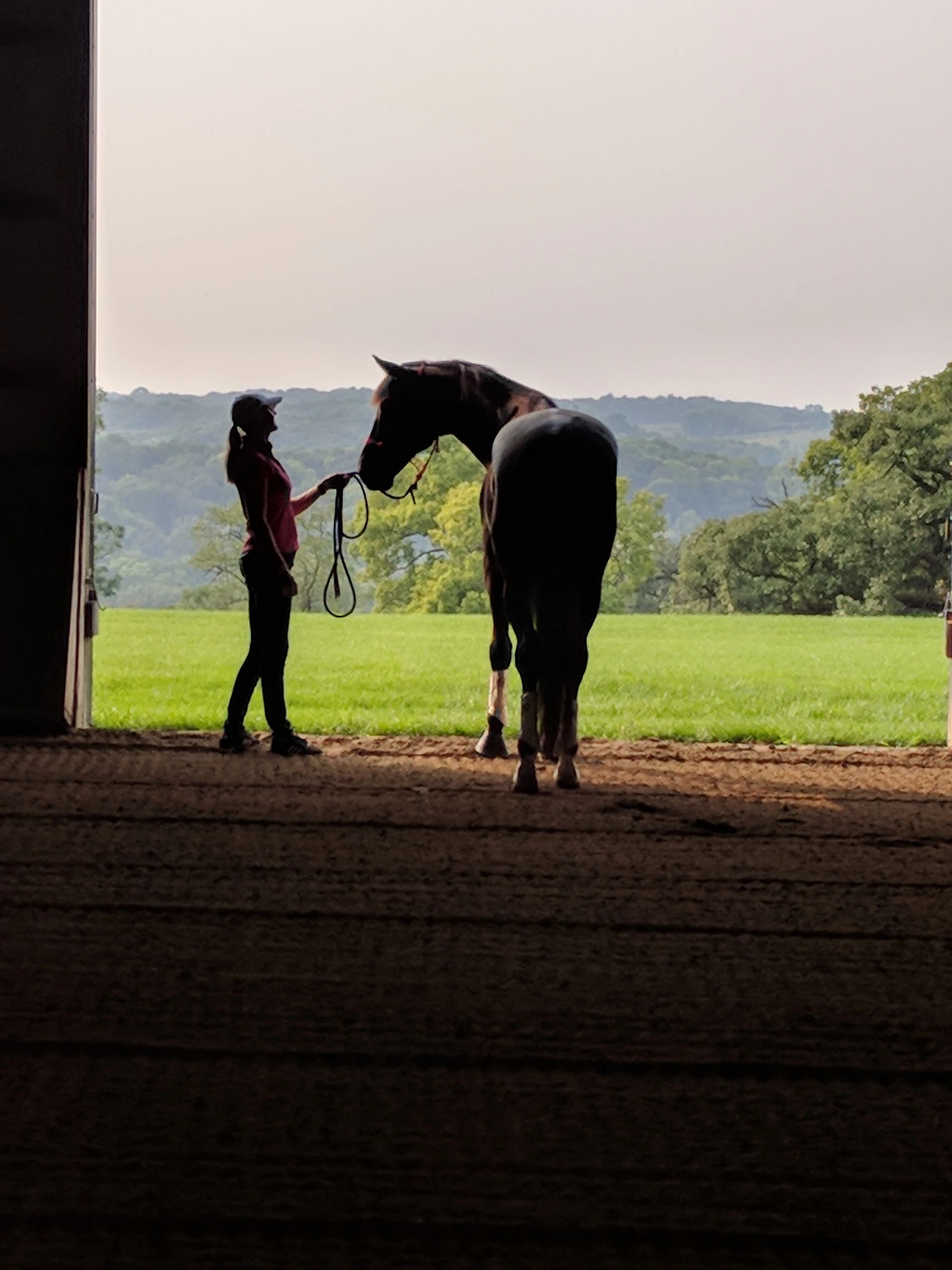 La Riata Ranch - Horse Trainer, Horsemanship Colt Starting