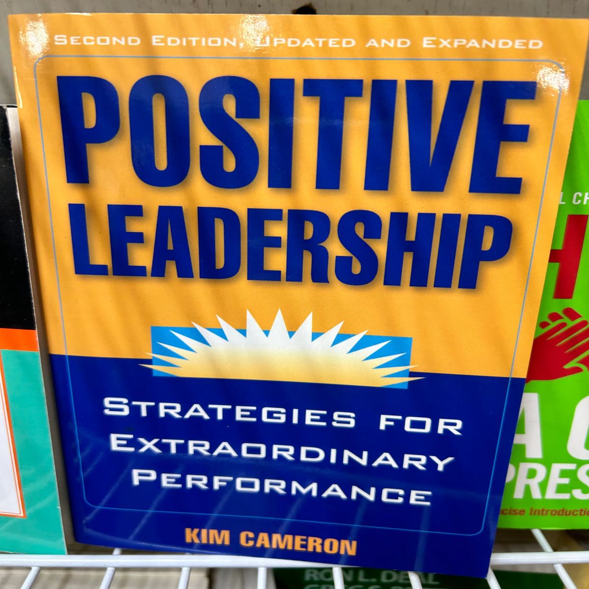 Positive Leadership: Strategies for Extraordinary Performance