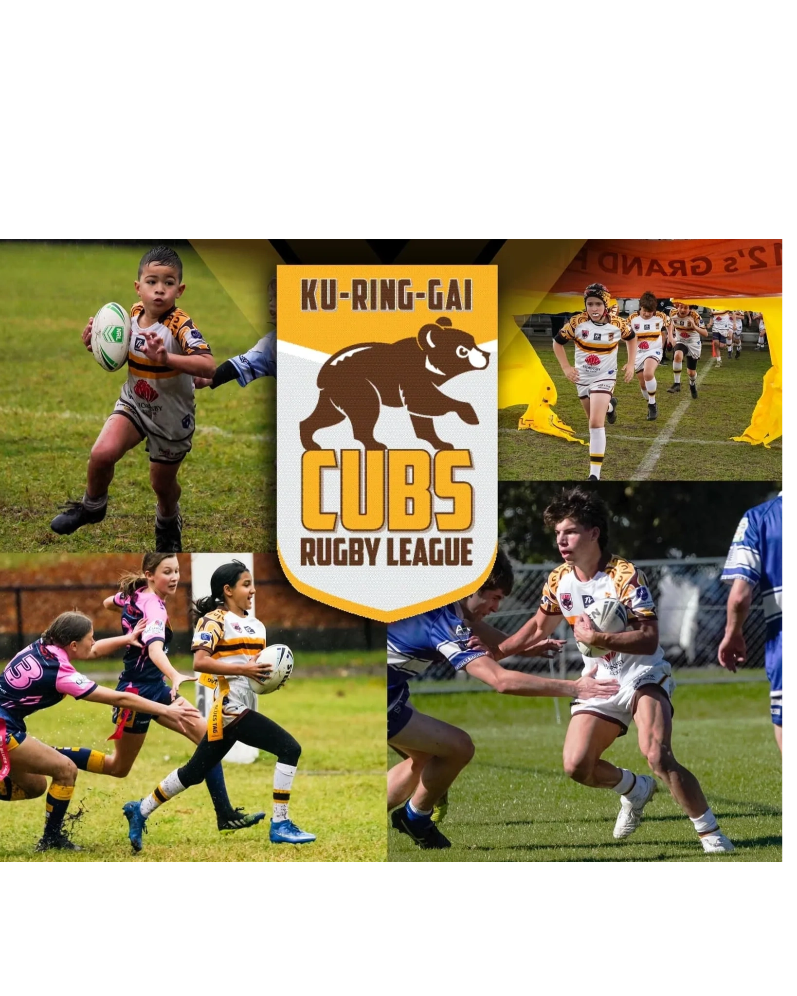 Kuringgai Cubs Rugby League