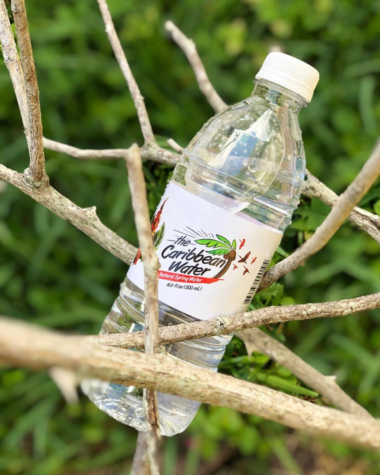 Delicious Bottled Water Delivered to Your Doorstep