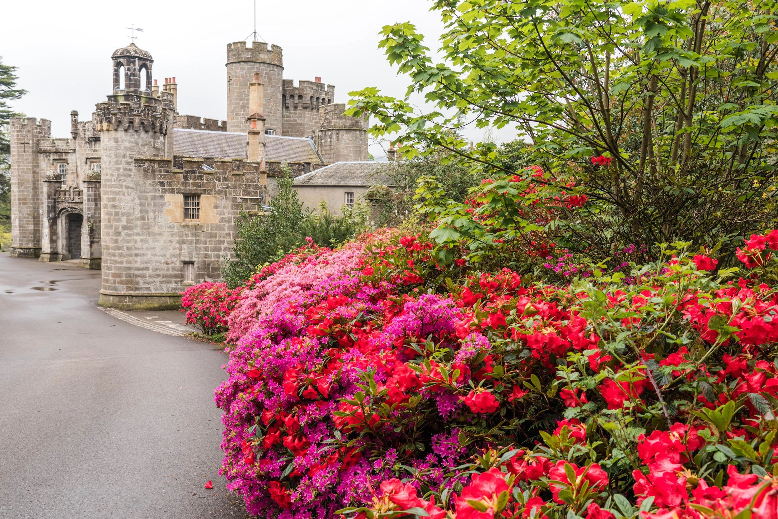 Balloch Country Park