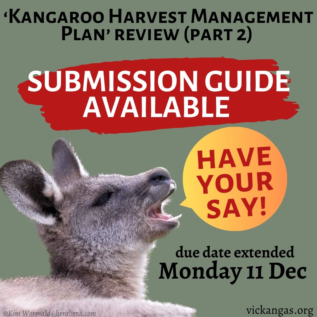 SUBMISSION GUIDE AVAILABLE