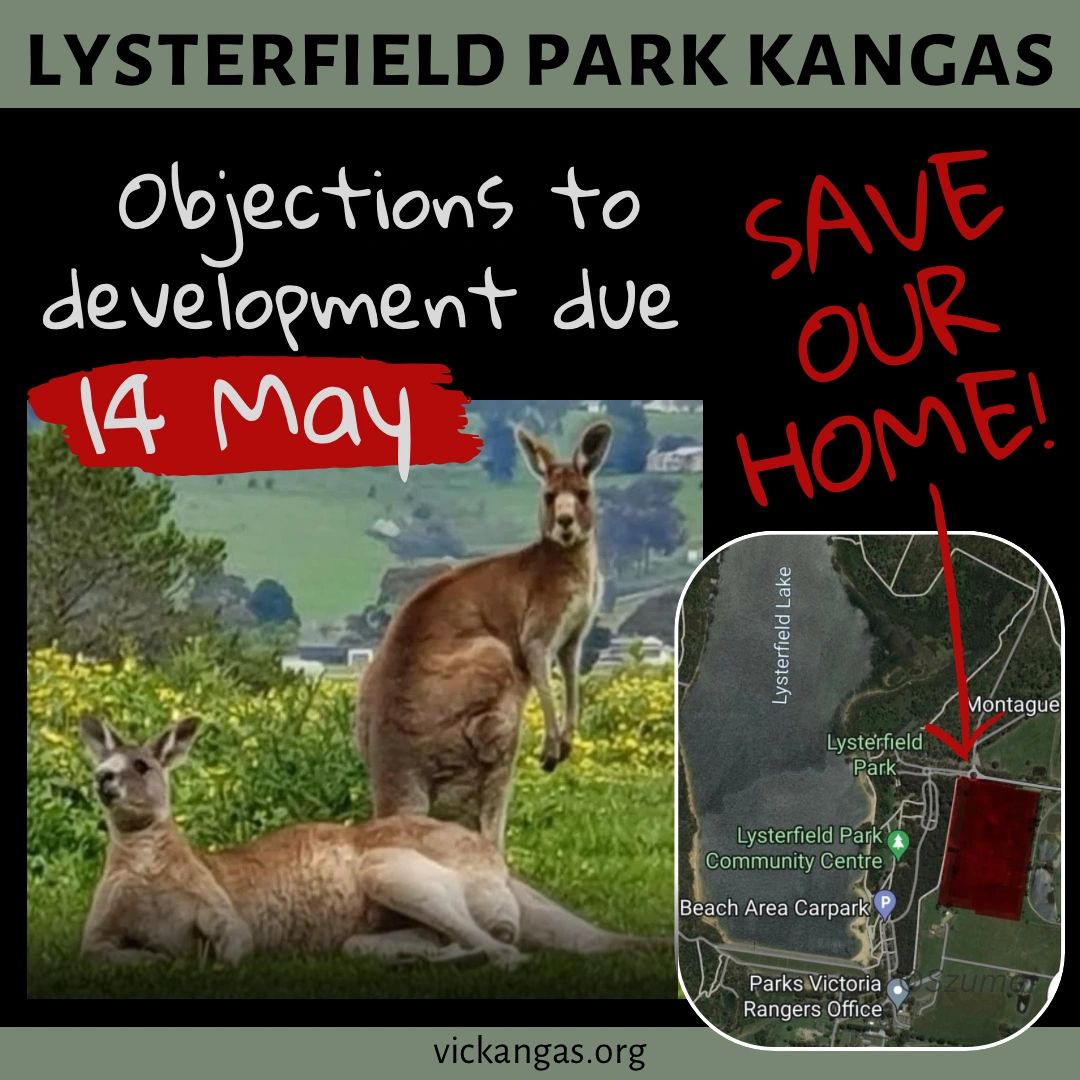 CALL TO ACTION FOR LYSTERFIELD PARK KANGAS