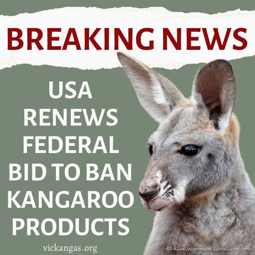 BIG NEWS! USA RELAUNCHES BID TO BAN KANGAROO PRODUCTS