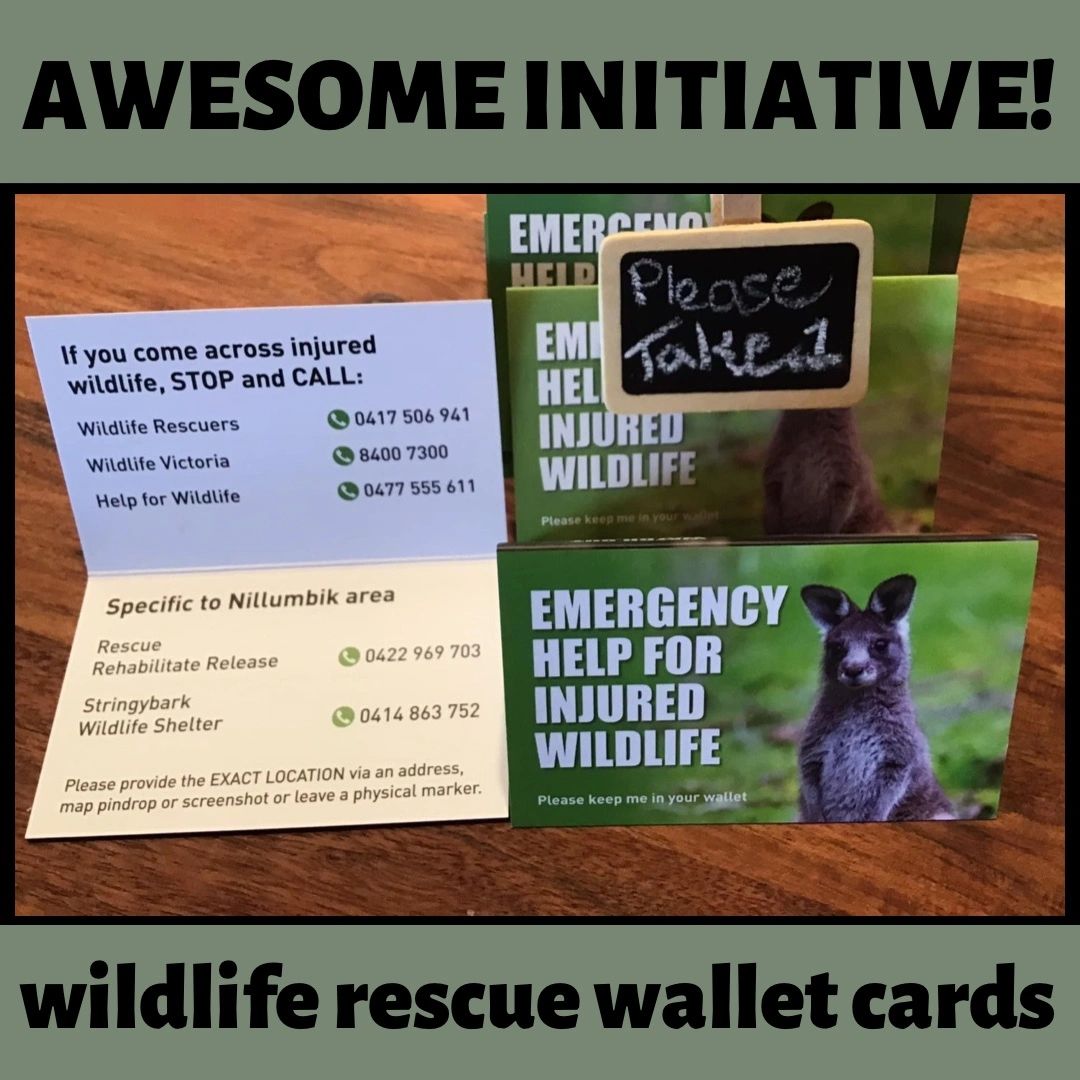 NILLUMBIK WILDLIFE RESCUE CARDS