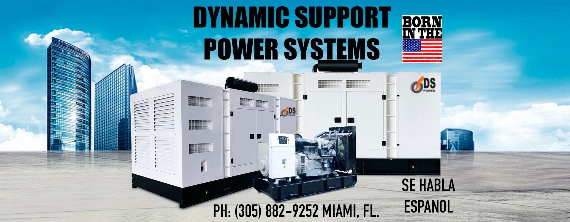 DS POWER SYSTEMS