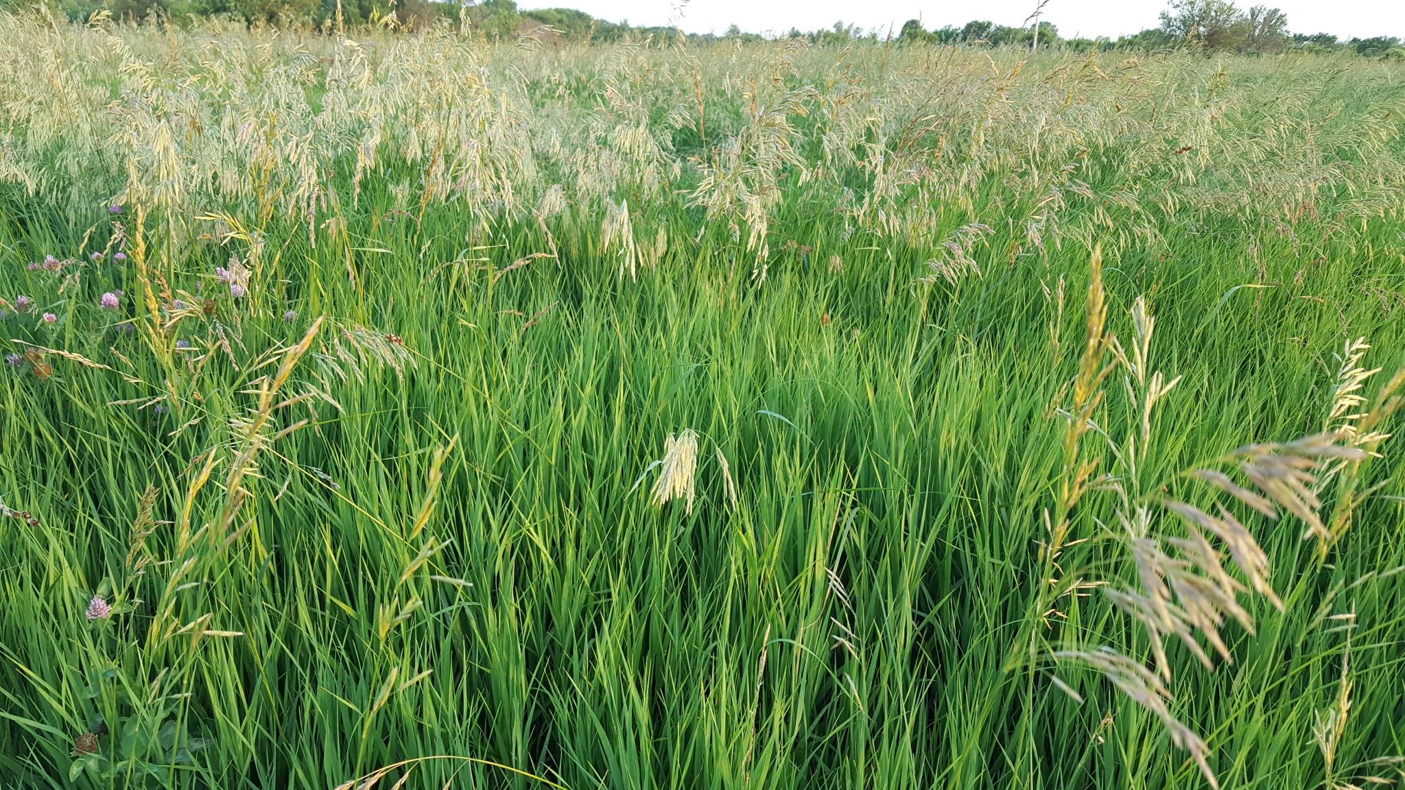 K and L Thompson Farms