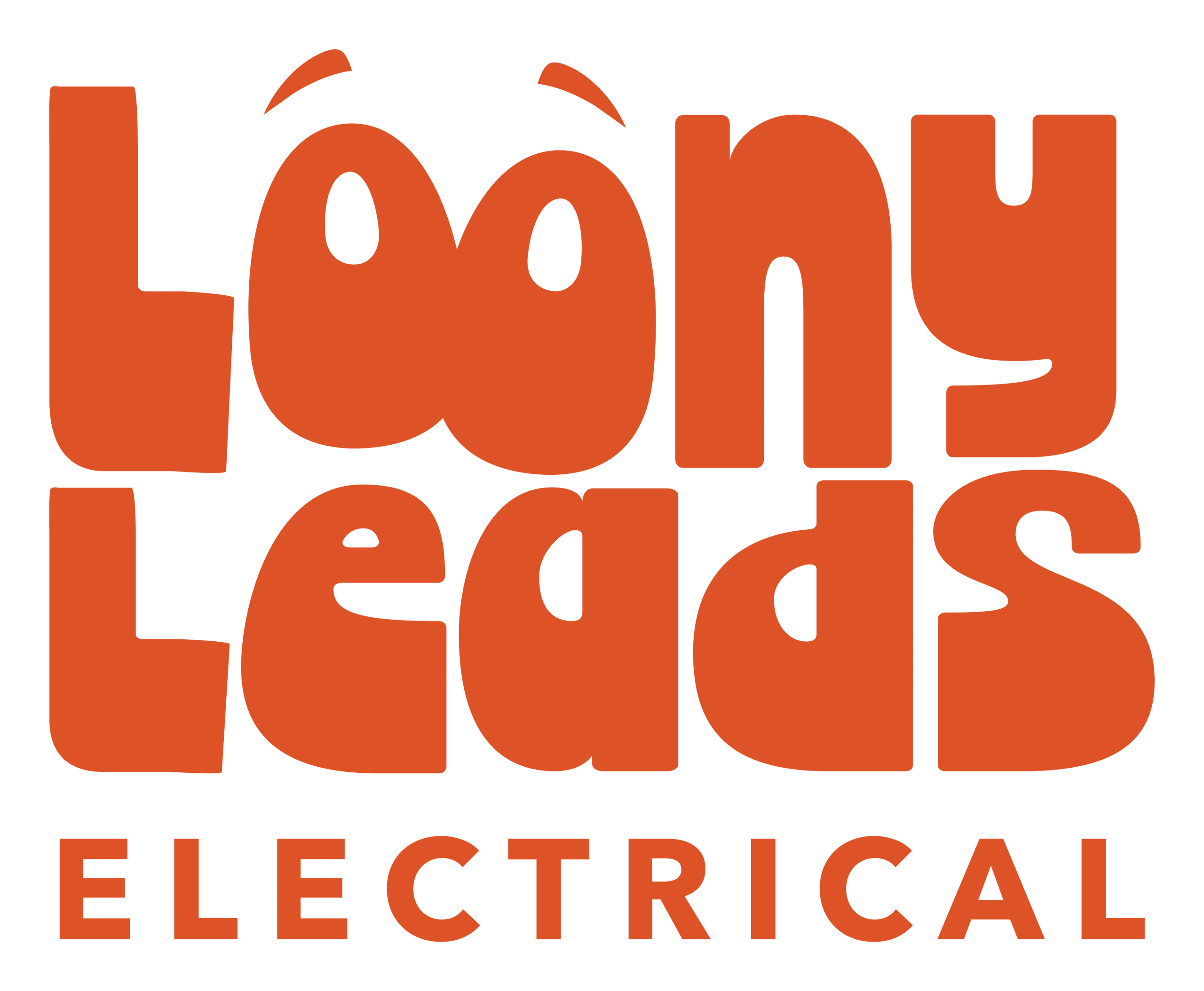 LOONY LEADS ELECTRICAL