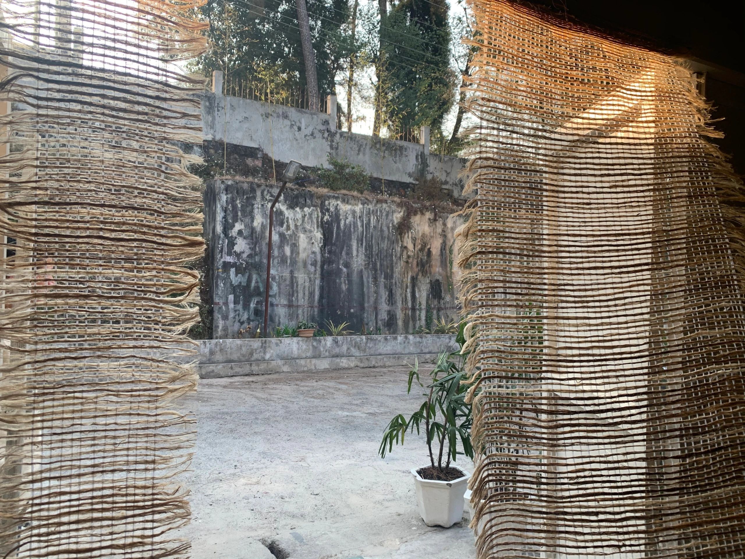 WEAVE|SURFACE DEVELOPMENT