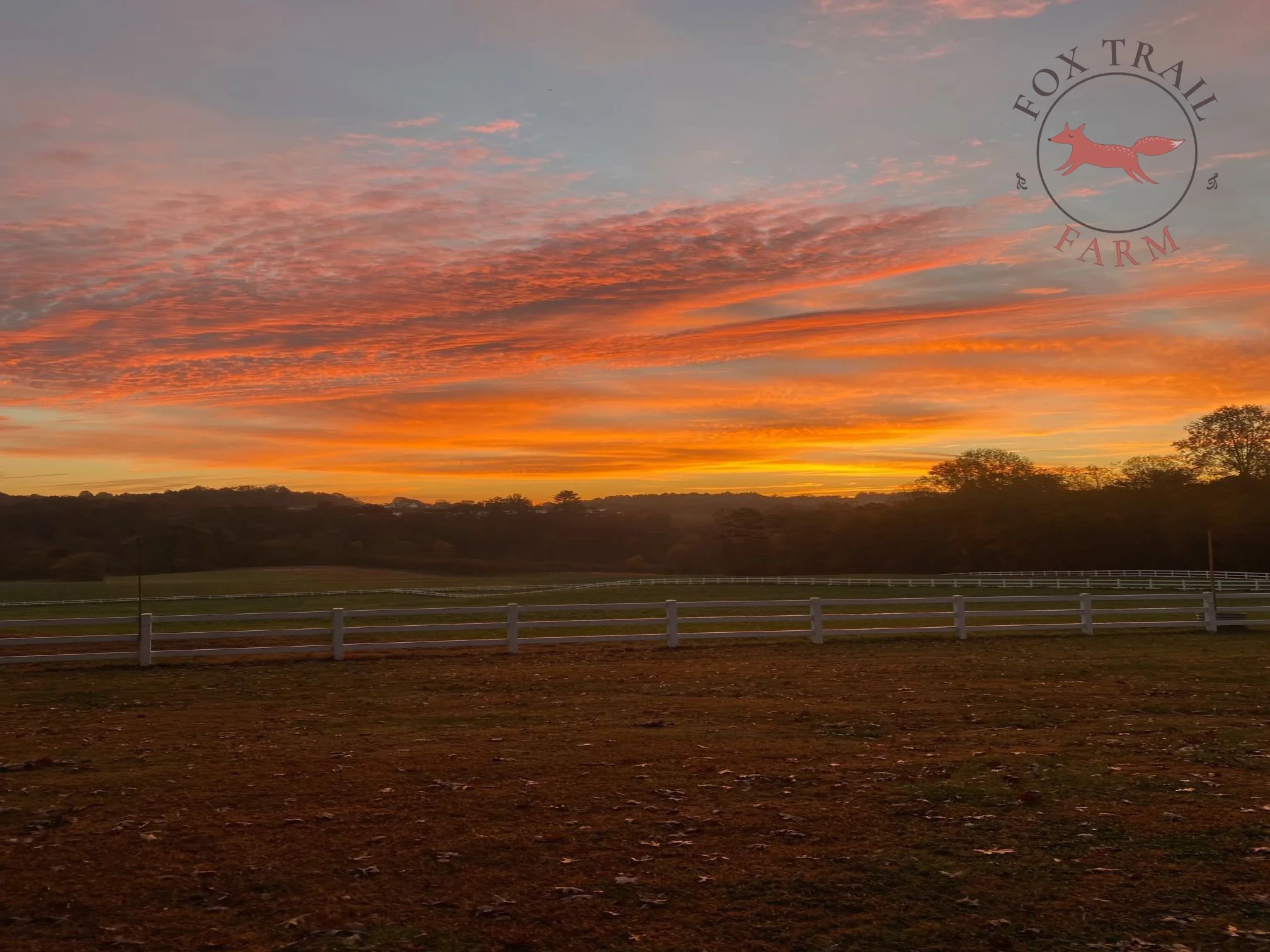 Fox Trail Farm - Horse Motel, Retired Horse Board