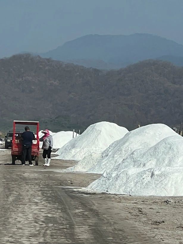 Visit to the Salt Farm!