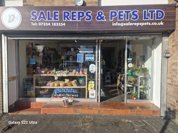 Top Quality Pet Products for Your Beloved Pets