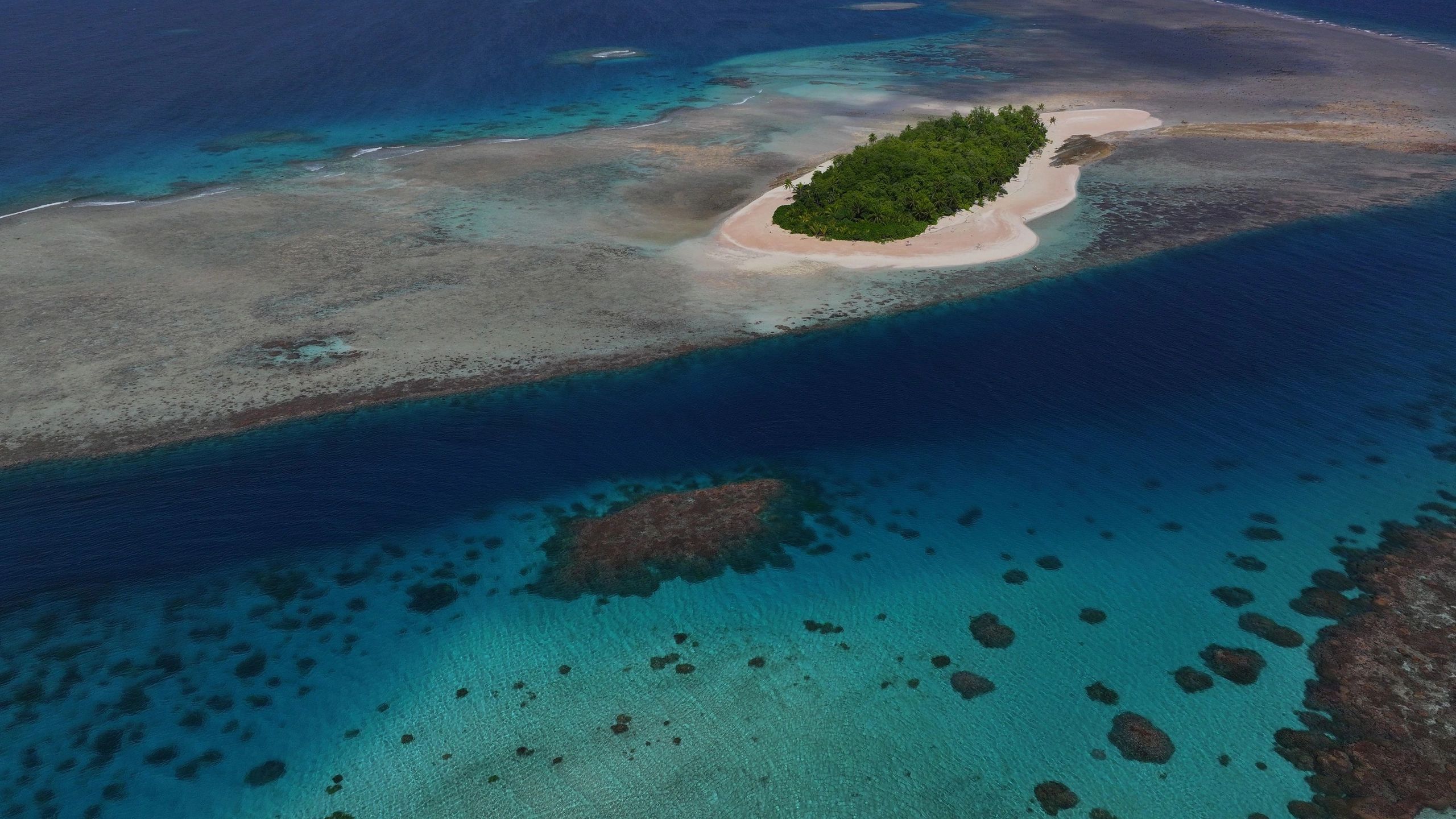 Conservation Area | Kaupule Funafuti